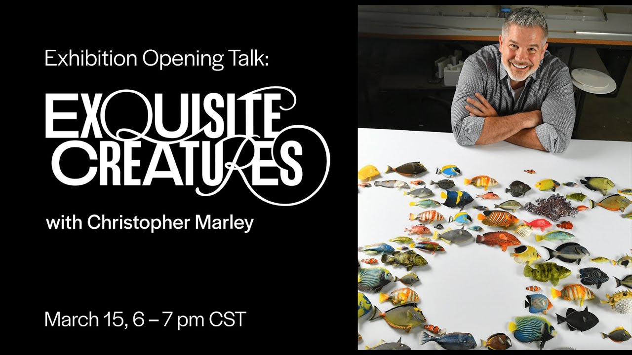 Crystal Bridges "Exquisite Creatures" Exhibit Opening Talk - YouTube