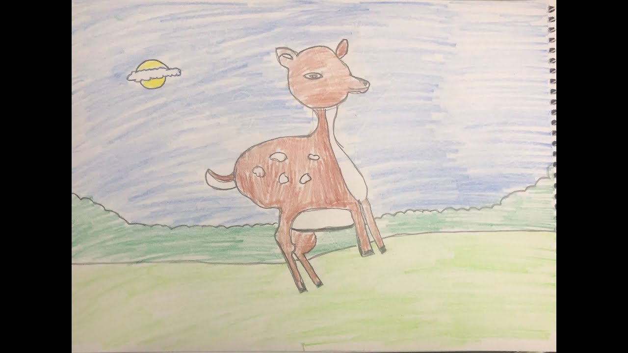 رسم غزاله Drawing A Deer Youtube