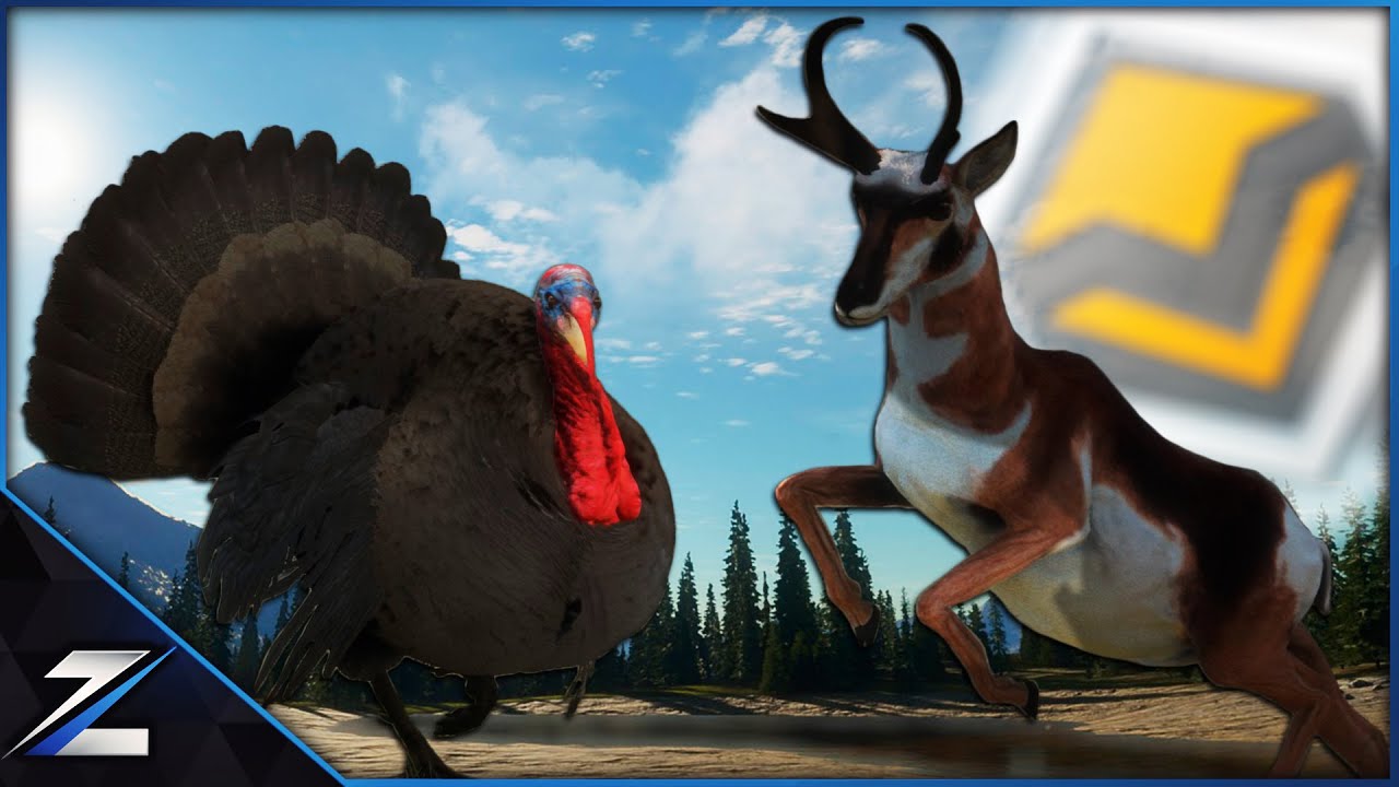 Pole Dancing Turkey and Two of My BEST Silver Ridge Trophies!! - YouTube
