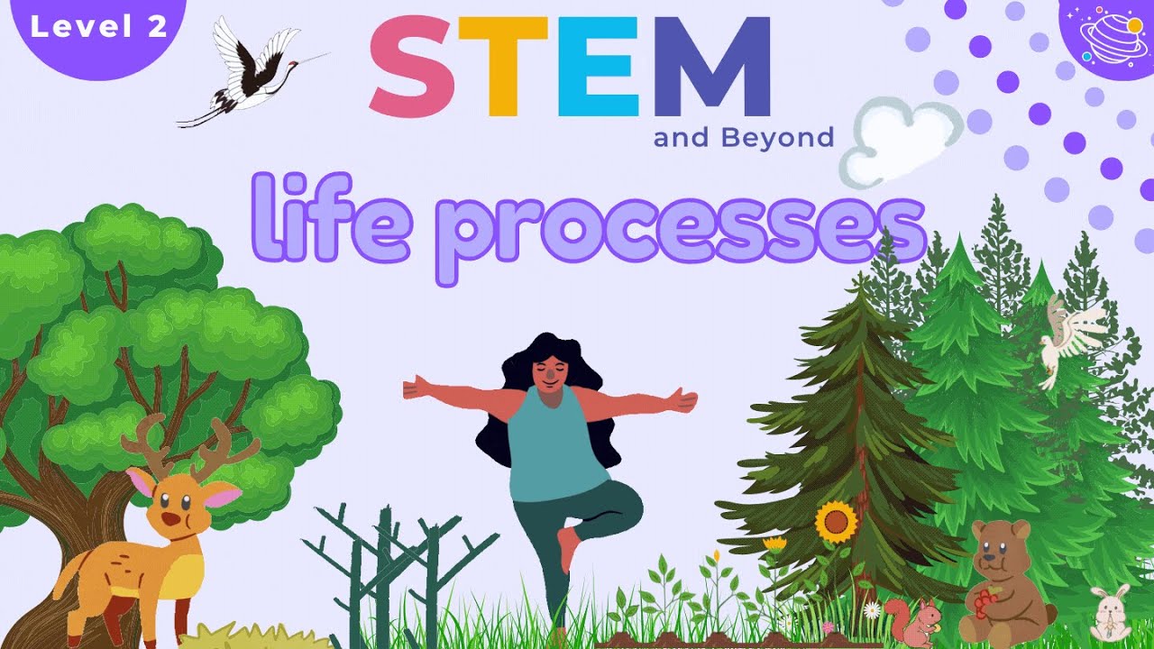 Life Processes | Science For Kids | STEM Home Learning - YouTube