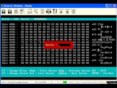 Display Disk Sectors in Real Mode (Direct DISK I/O) - YouTube