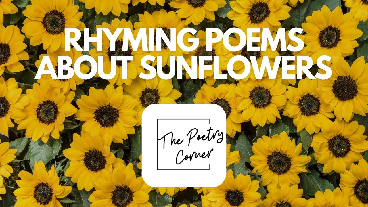 Five Rhyming Poems About Sunflowers - YouTube