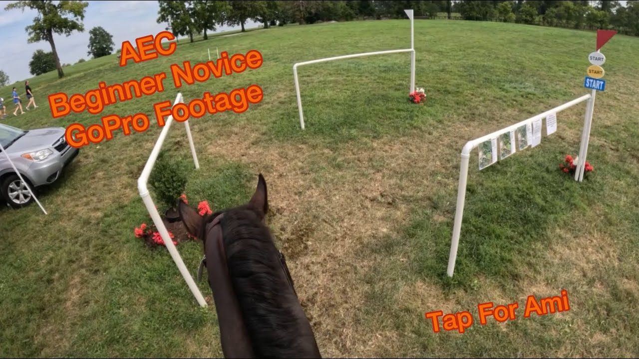 AEC!! Beginner Novice XC GoPro Footage at Kentucky Horse Park! - YouTube
