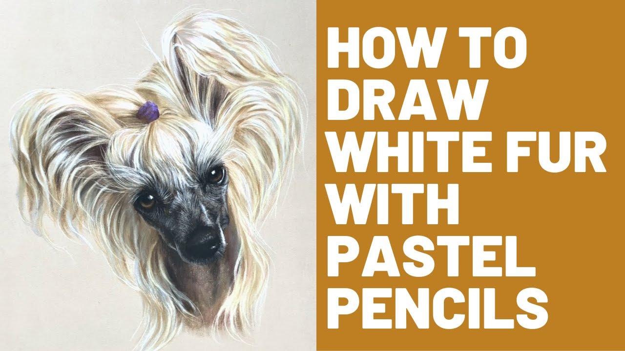 How To Draw White Fur With Pastel Pencils YouTube how-to-draw-white-fur-with-pastel-pencils-youtube