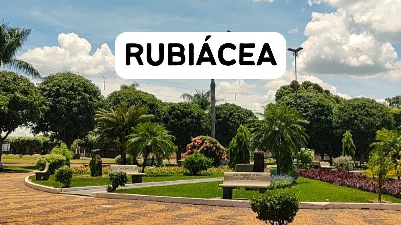 Rubiácea SP - Passeio da Rota 408 pela cidade de Rubiácea - 10° Temp ...