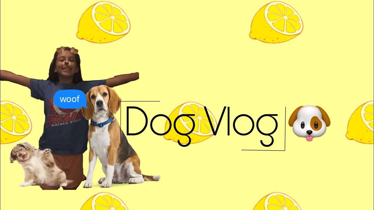 Dog Vlogs! 🐶 - YouTube