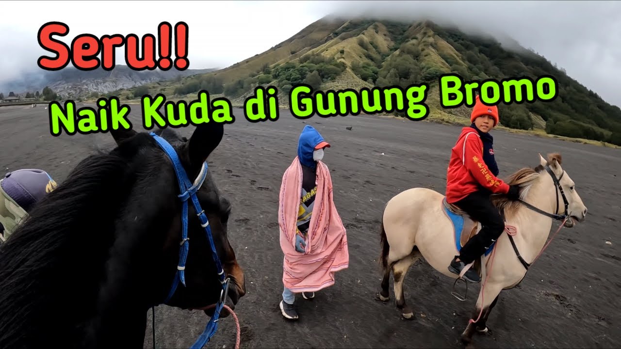 Naik Kuda di Gunung Bromo - part 1 - YouTube