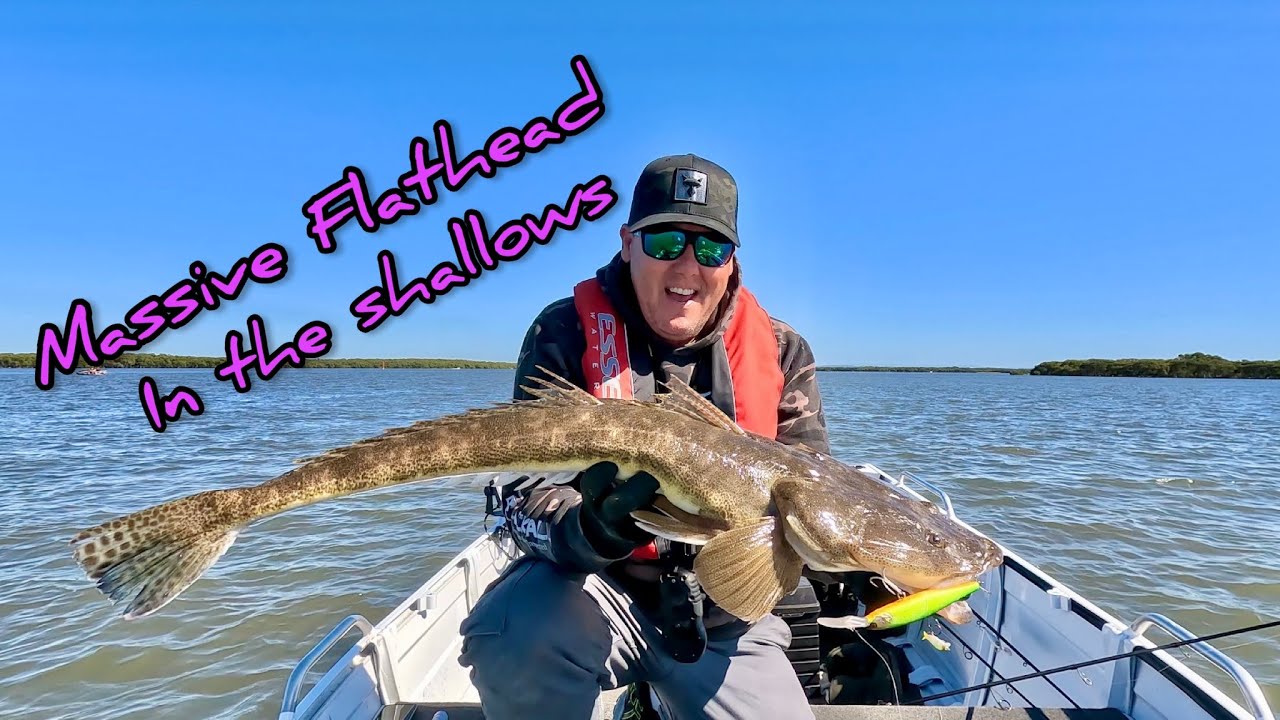 Big Lures catch BIG Flathead - YouTube