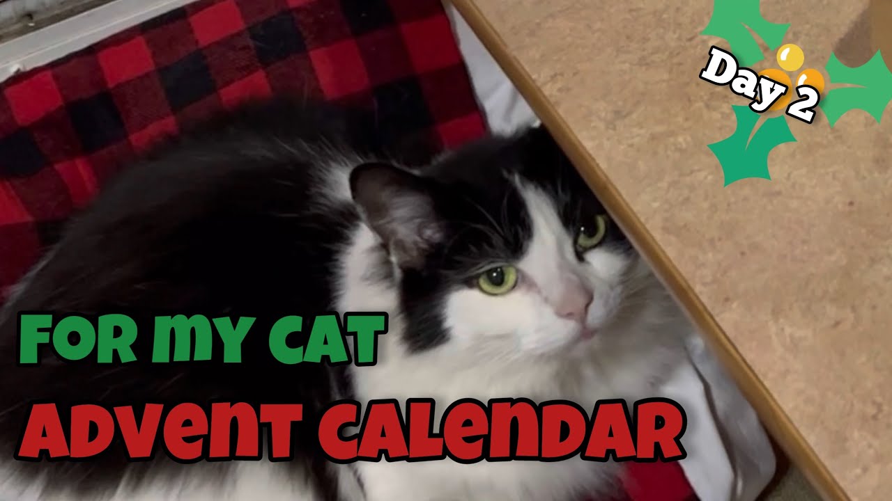 Misaï’s 2nd day of December! - YouTube