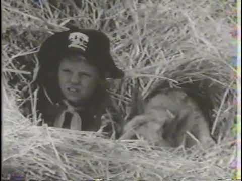 Rusty B Company (Adventures of RIn-Tin-Tin) Pilot - YouTube
