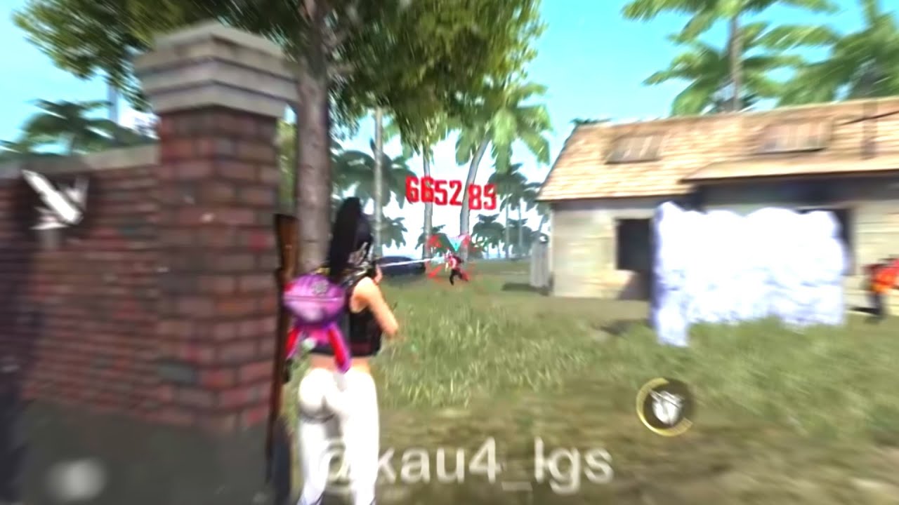 Apelapato Highlights 🎯🇧🇷 Insane Free Fire Edit - YouTube