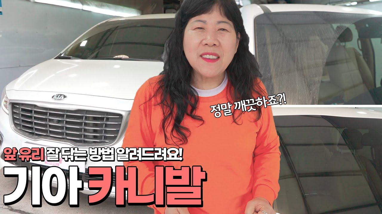 【카니발】 셀프세차장에서 세차 잘하는 방법 차시트 잘 닦는 법 차 냄새 제거하는 법 고압수 총 잘 쏘는법 앞 유리 잘