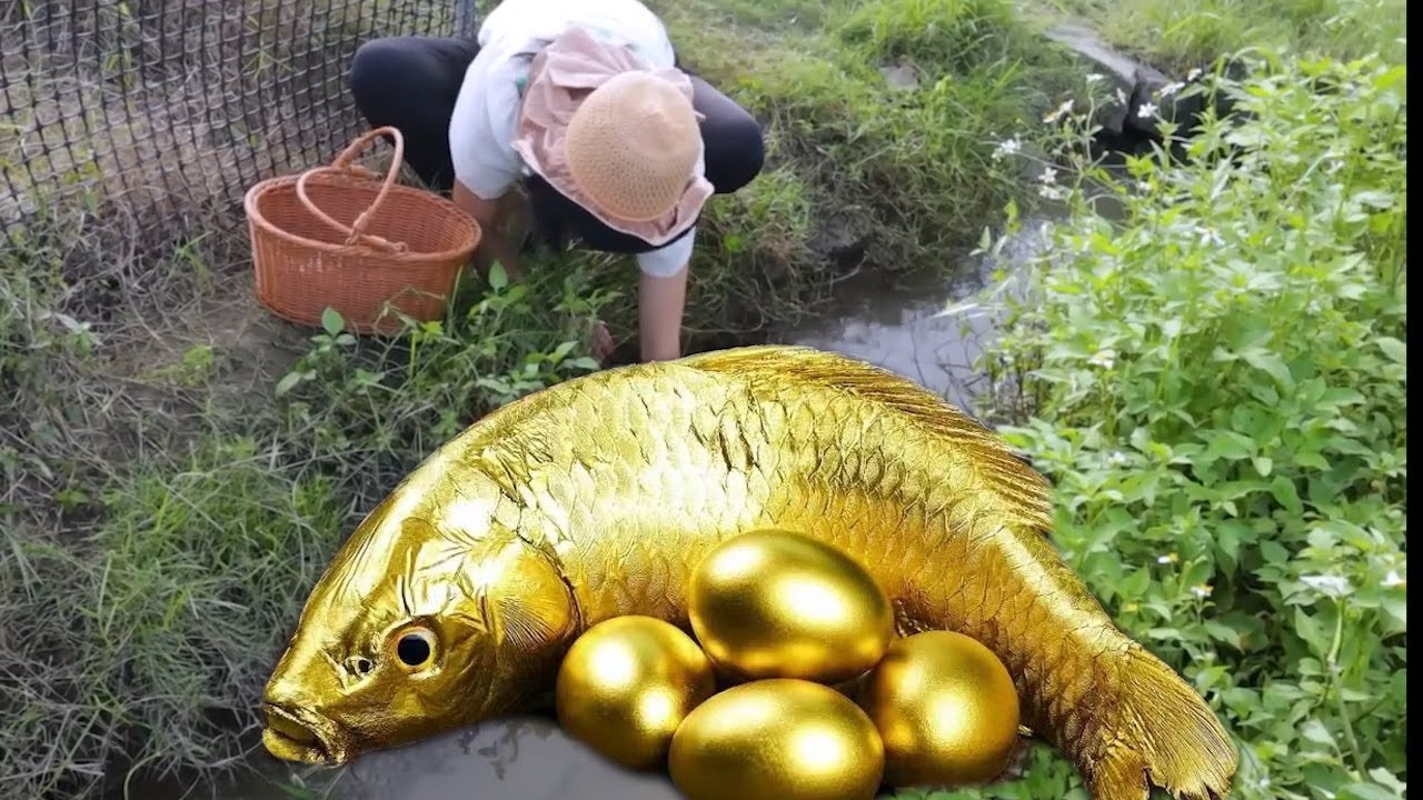 🎁😱 An incredible golden clam and a snail jointly breed a charming and ...