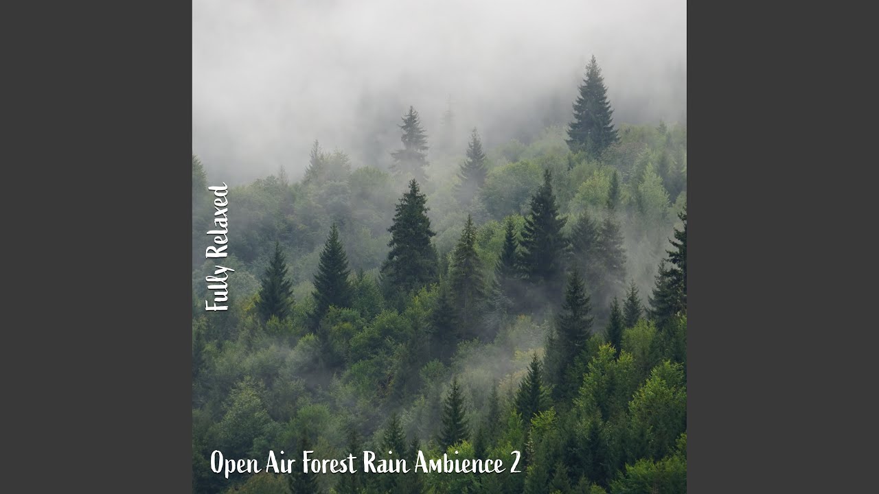 Open Air Forest Rain Ambience, Pt. 10 - YouTube