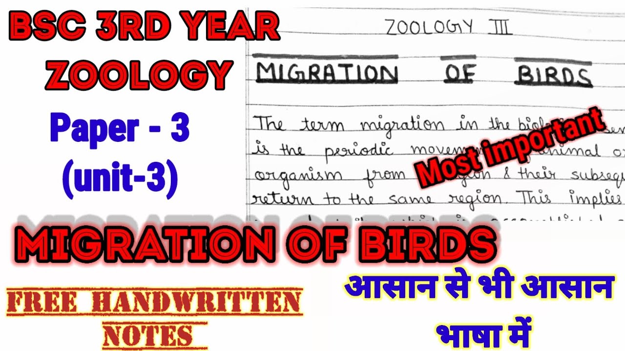 Migration of Birds (Part-2) | Bsc 3rd year zoology | Animal behaviour ...