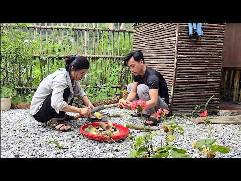 A peaceful and warm day for Man and Bao after all the troubles they had been through.