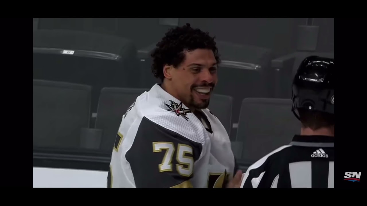Ryan Reaves Top Fights Compilation - YouTube