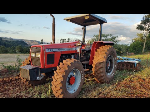 Fazendo plantio das pastagem de inverno