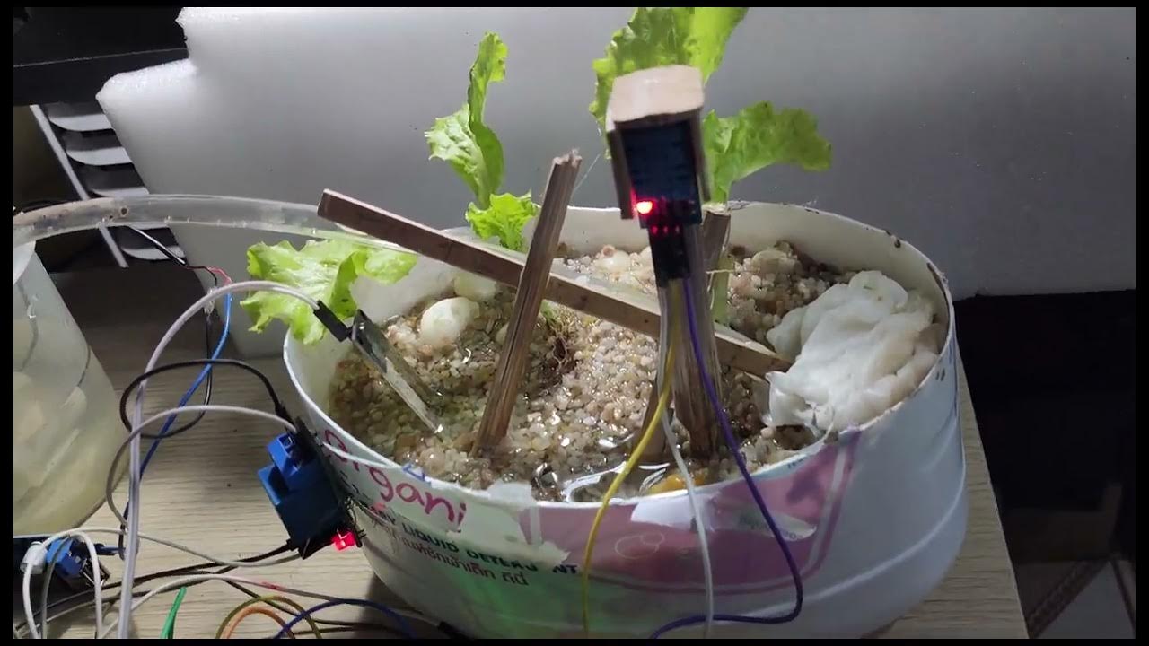 IOT Smart Garden - YouTube