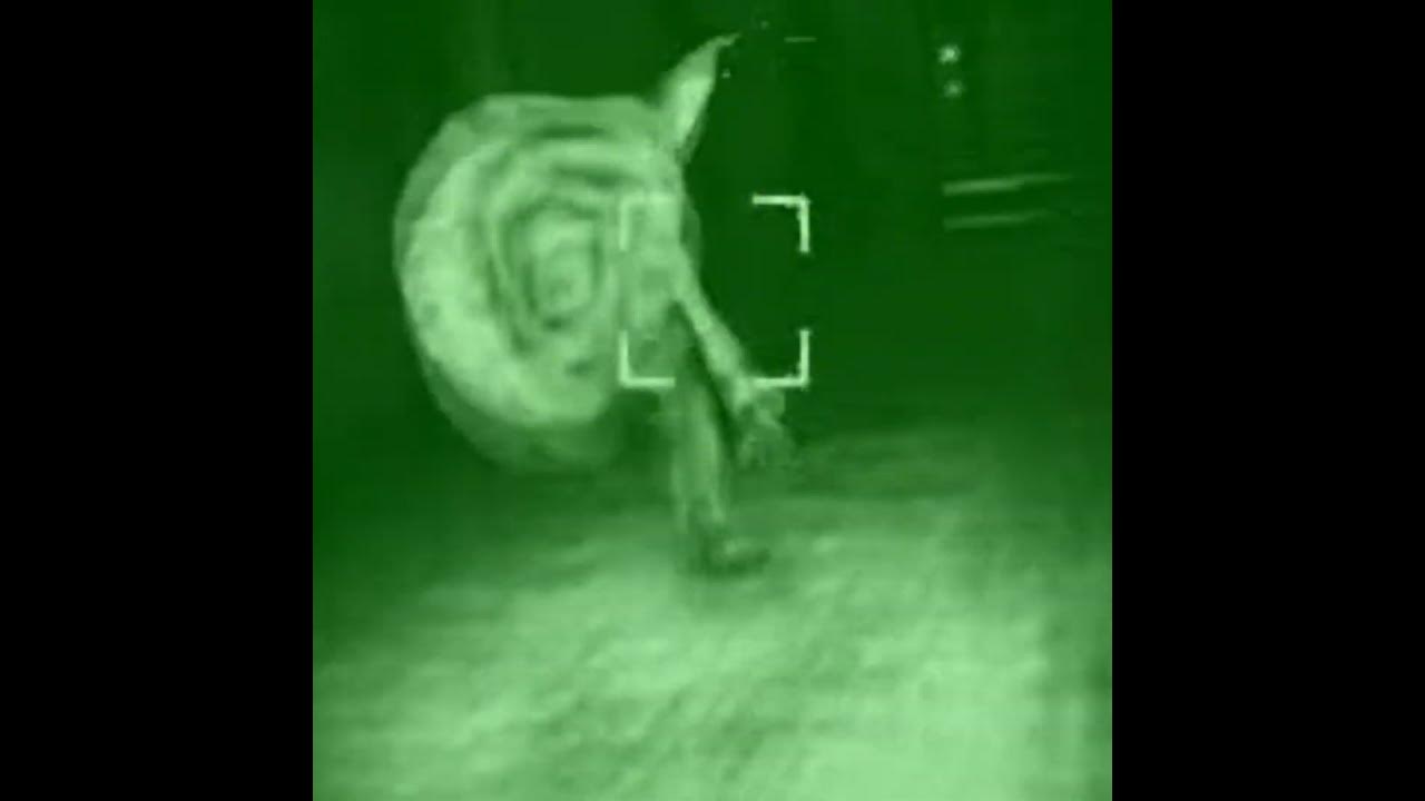 content warning snail dances to lady - YouTube