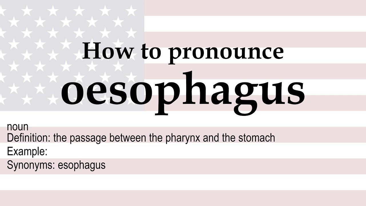 How to pronounce 'oesophagus' + meaning - YouTube