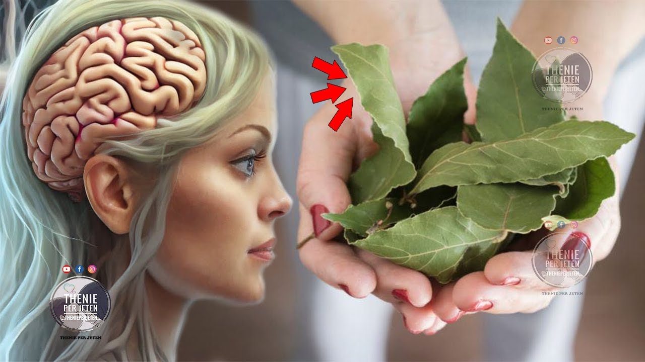 Harrojini farmacitë, sytë tek gjethet e dafines dhe do trajtonit këto ...