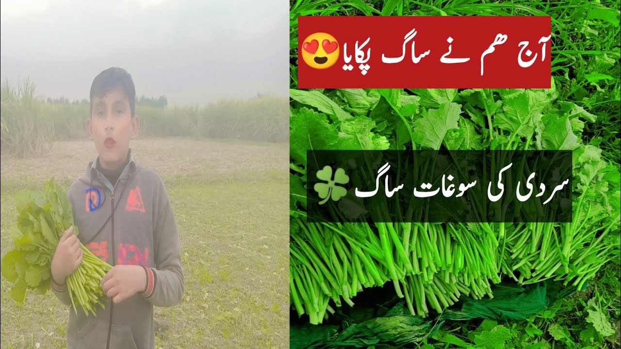 sag recipe ||aj ham nay sag pakaya😍sag pakistan ki shan😘 - YouTube