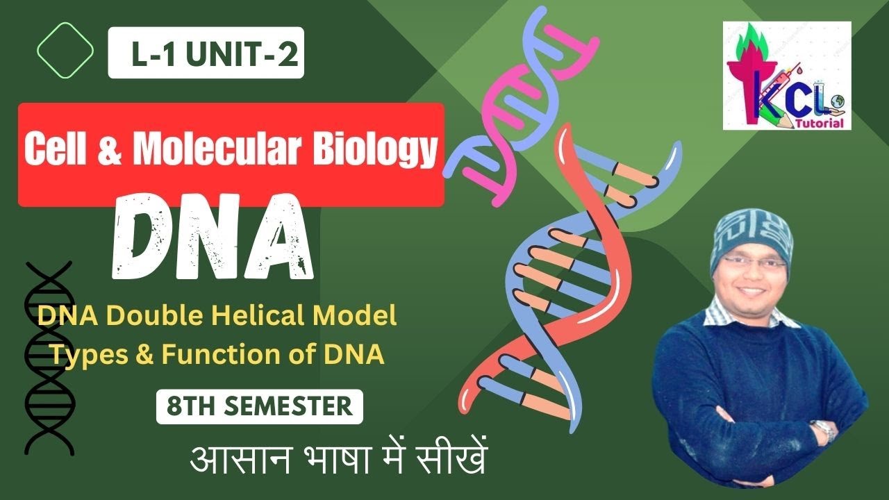 DNA- Double Helical Model, Types & Function ! L-1 Unit-2 Cell ...