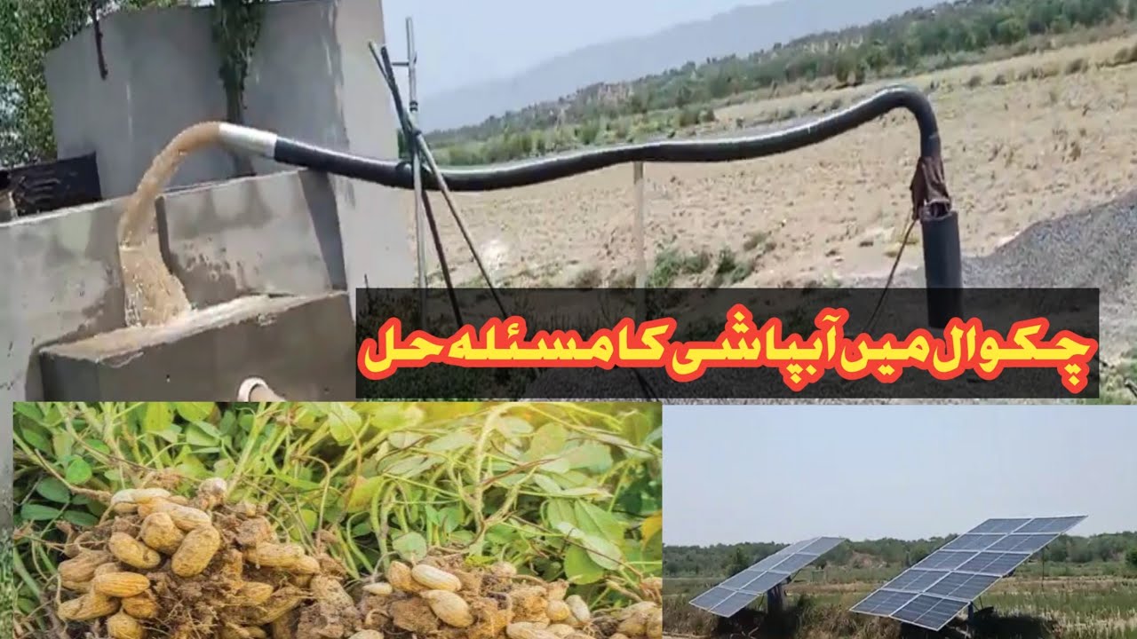 15 hp submersible bore well || district Chakwal || kissan dost ...