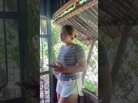 con gái phải tròn một chút #tube8