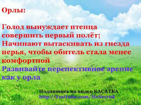 Читаем Вместе Парите вместес орлами Билл Ньюмен 01 12 2015 20 11 24 ...
