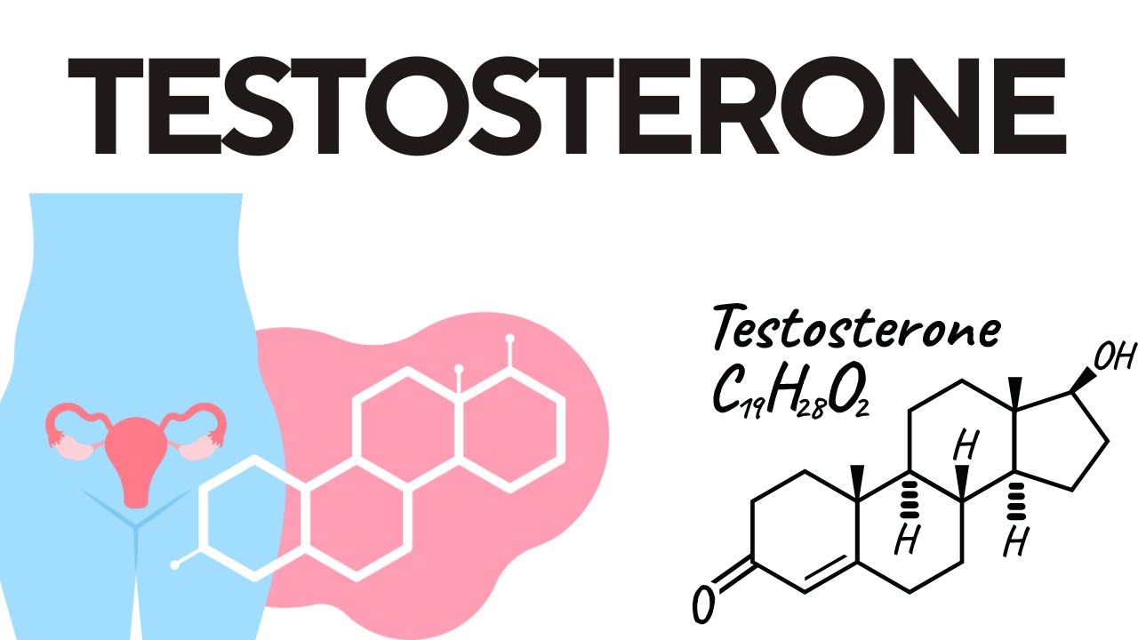 What is Testosterone Hormone? - YouTube