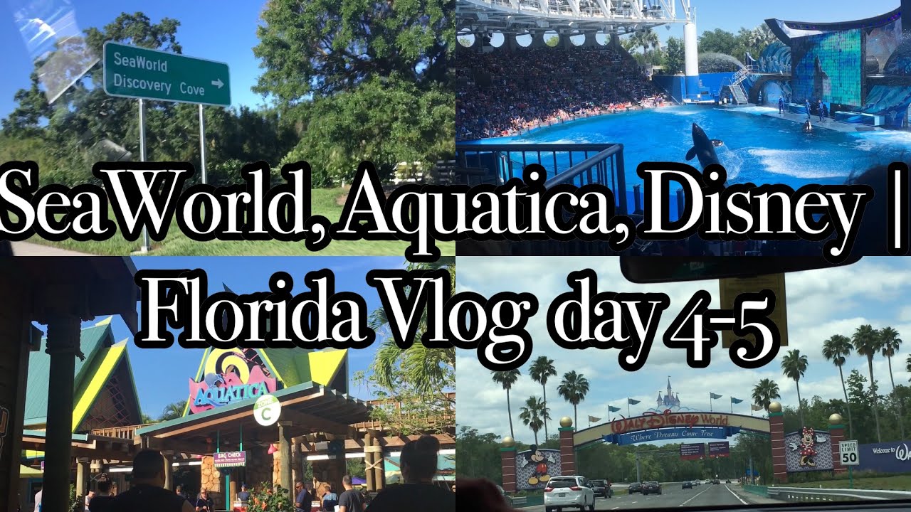 SeaWorld, Aquatica, Disney | Florida vlog day 4-5 - YouTube