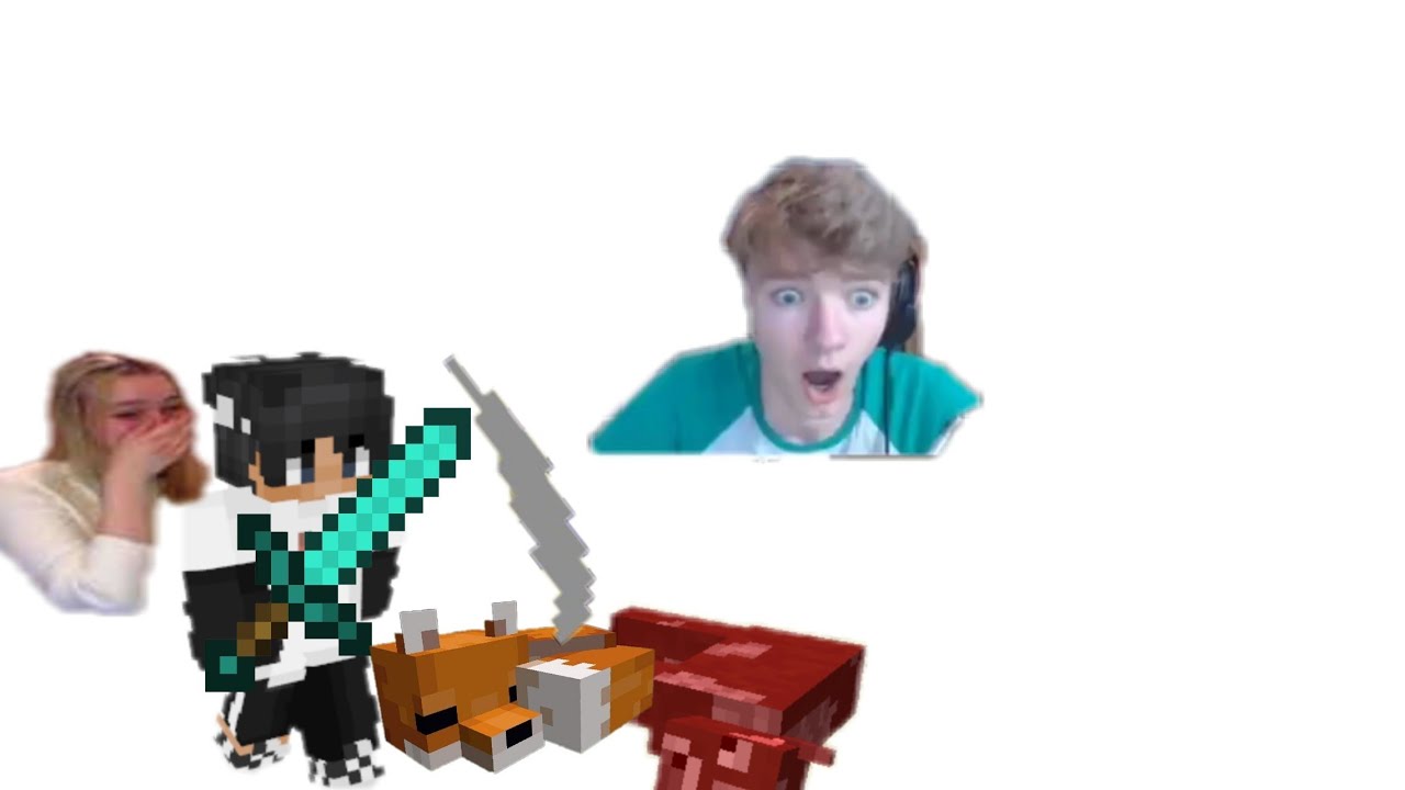 Sapnap kills nihachu's fox and Tommy's cow - YouTube