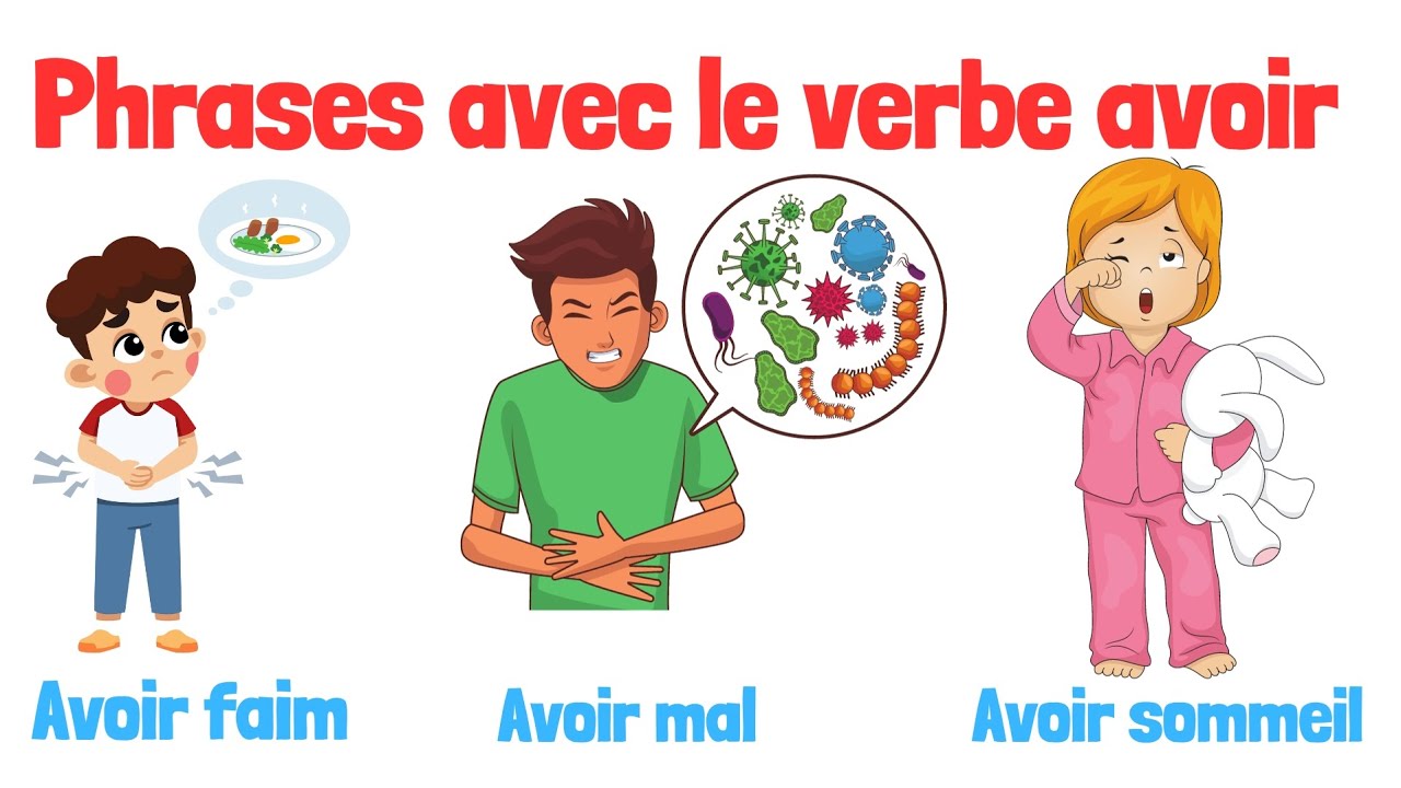 Apprendre plus ️ de 20 phrases avec le verbe avoir en français. - YouTube