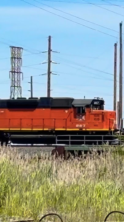 B&LE Painted SD38 & CN Zebra Painted SD40-2W Power A Kirk Yard Pulldown Job In Gary, IN - YouTube