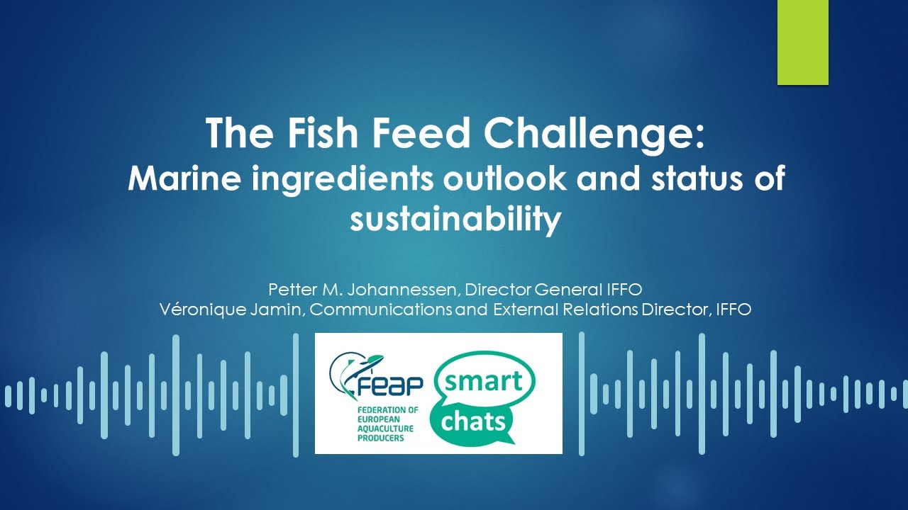FEAP Smartchat: the Fish Feed Challenge - YouTube