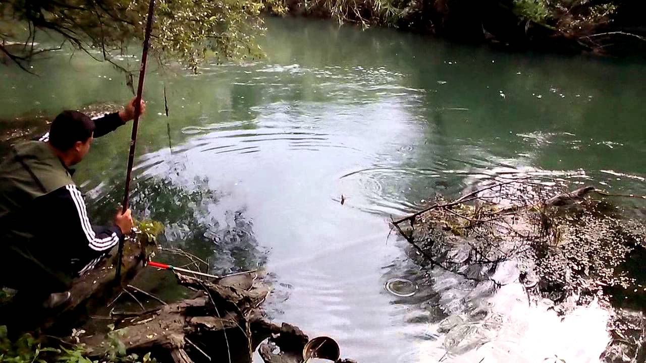 Igor - skobal - 08.09.2014 - YouTube