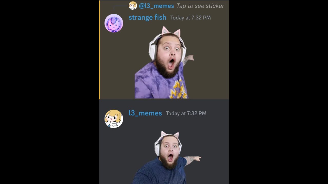 2 minutes and 30 seconds of Stanley mov memes - YouTube