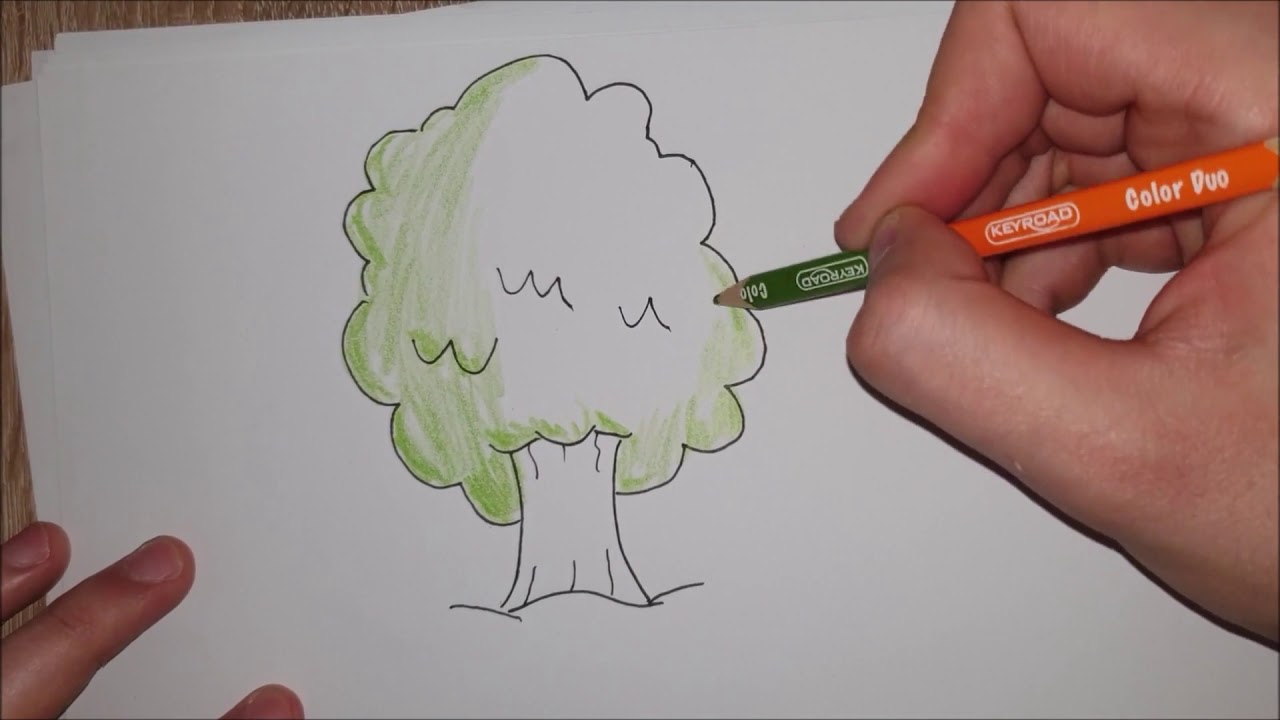 Kako nacrtati i obojiti drvo/How to draw and color an easy cartoon Tree ...