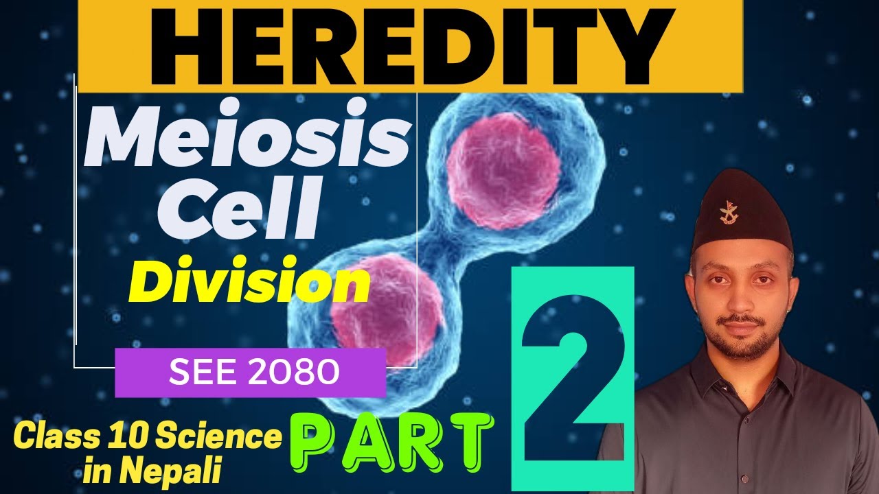 Heredity || Meiosis Cell Division || SEE preparation 2080 || Class 10 ...