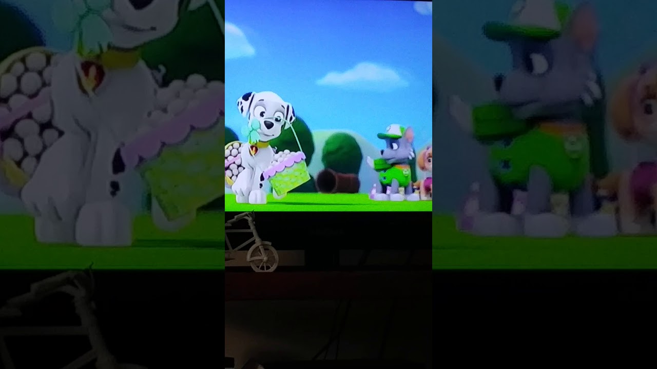 Paw patrol funny moments Marshall - YouTube