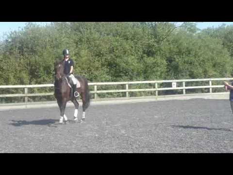 Leg yield riding exercise - YouTube