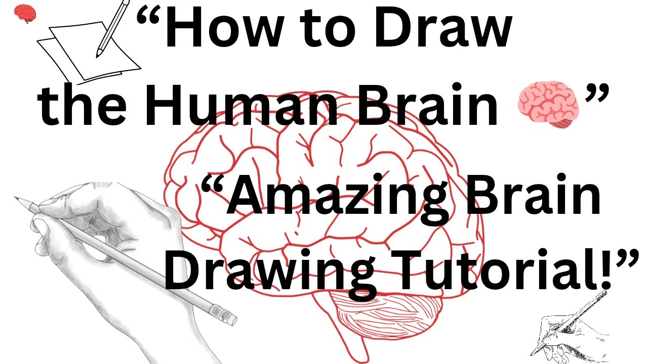 “How to Draw a Human Brain Step by Step | Easy Brain Drawing Tutorial ...