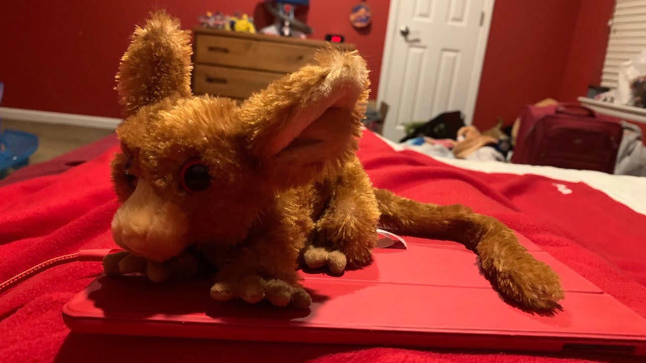 Bush baby stuffed animal toy review - YouTube