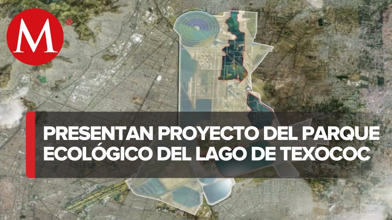 Parque ecológico del Lago de Texcoco, con avance de casi 25% - YouTube
