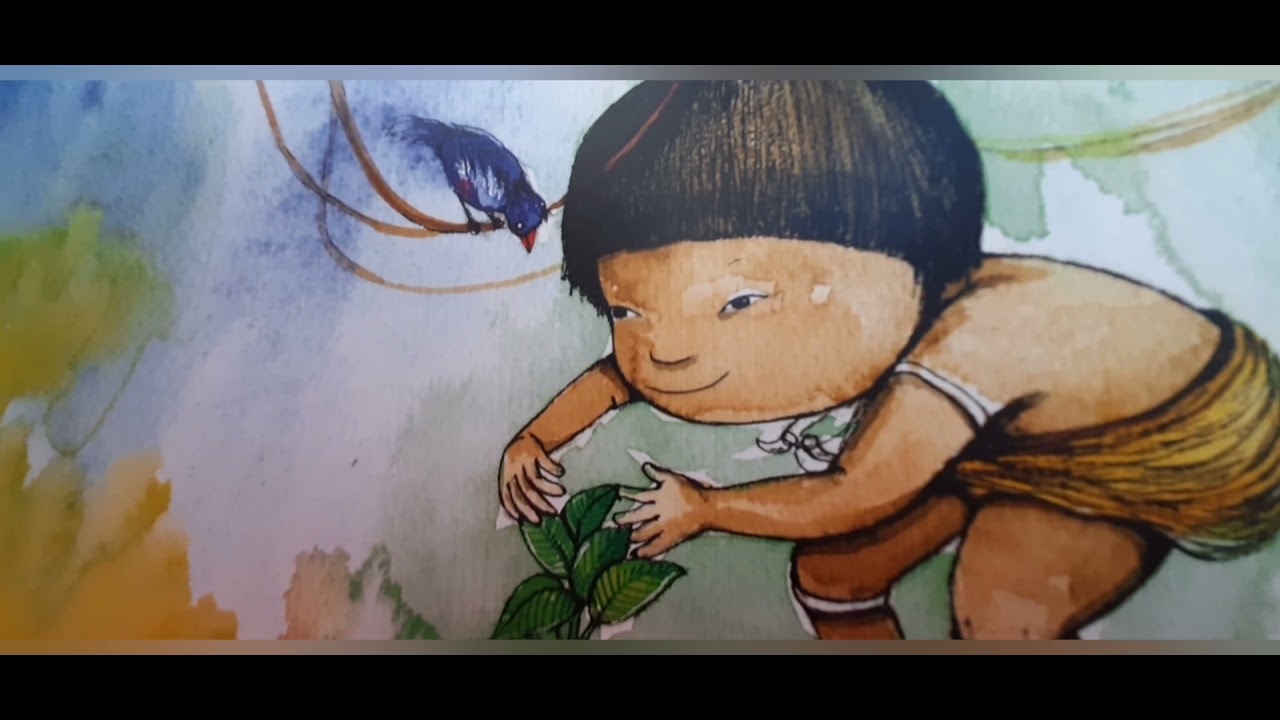 O menino Uru-Eu-wau-wau e a semente. - YouTube