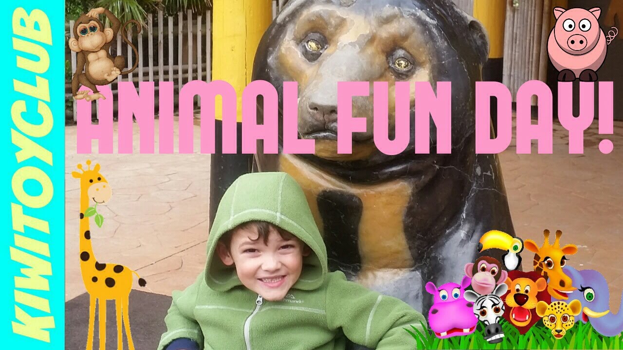 ANIMAL FUN DAY! - YouTube