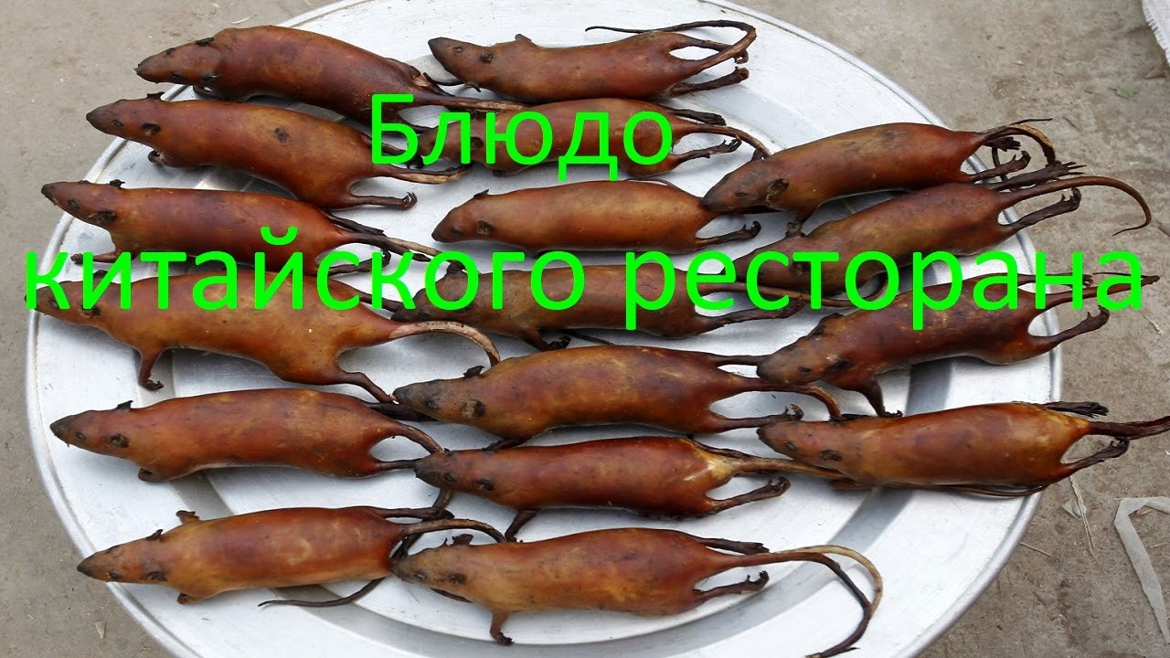 Мышь "зажарилась". "Чудеса" китайской техники../The mouse is fried ...