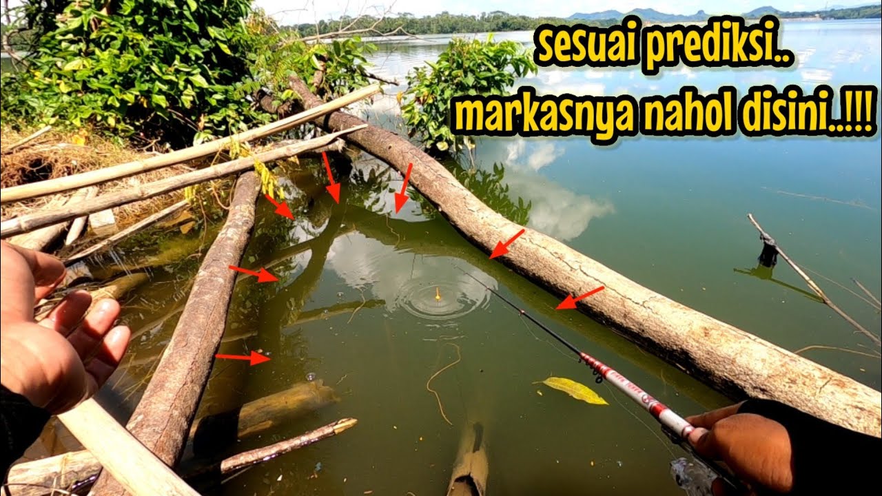SESUAI PREDIKSI ‼️ DISINI TERNYATA MARKASNYA NAHOL || mancing ikan red ...